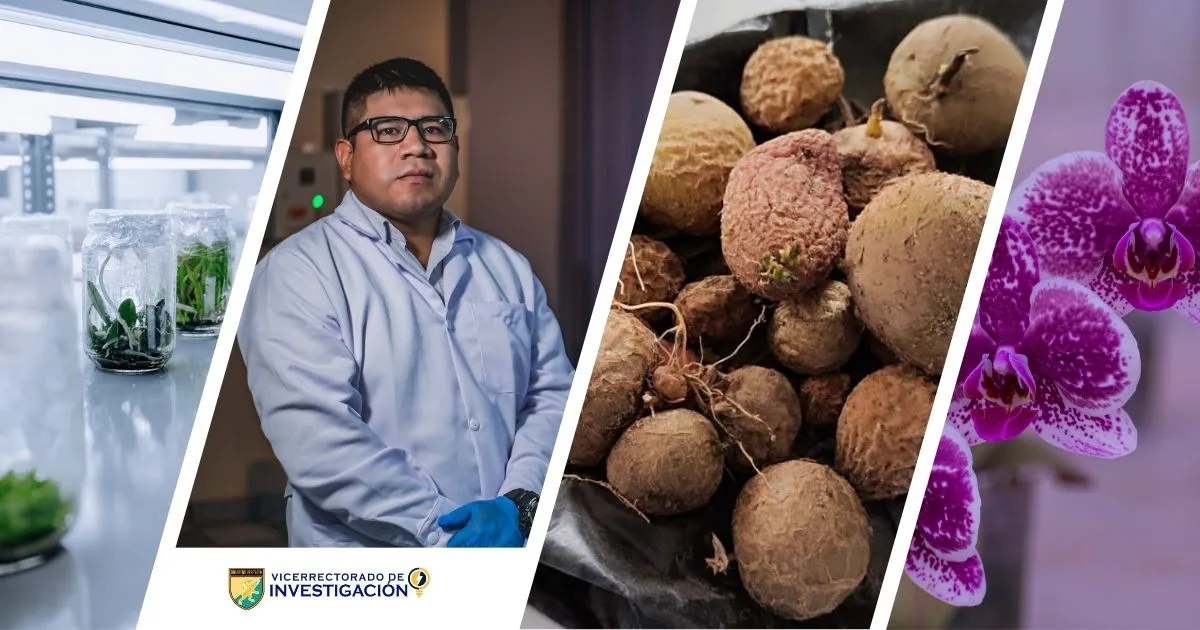 Soy estudiante - Portal de investigación | UDH